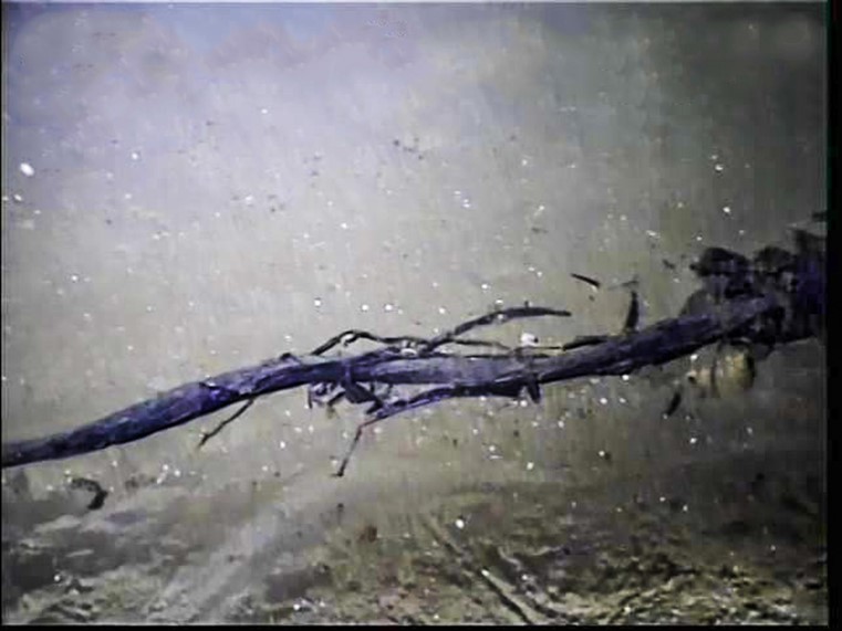 MVIP faces delay due to submarine cable damage - National Grid ...